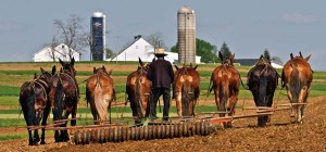 The Amish - Lancaster County Magazine