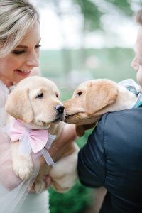 Amanda Lavis + Dave Pedersen | May 20, 2017