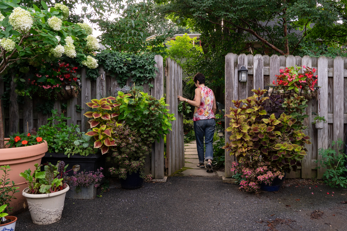 Susan Gottlieb – The World is Her Palette