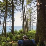 Into the Wild Open Spaces