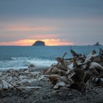 Into the Wild Open Spaces