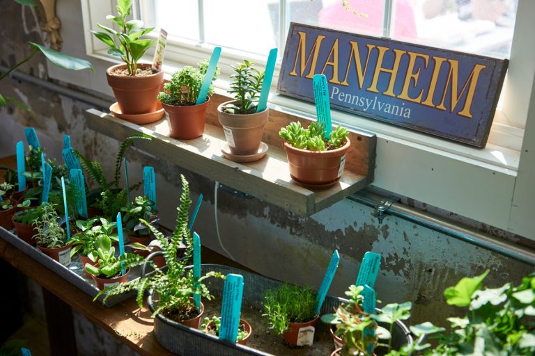 Manheim Gets Creative