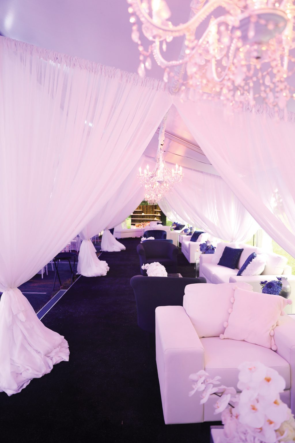 A Time to Celebrate … Everything!