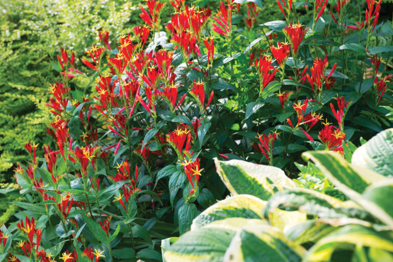 Living in a Natural World - Lancaster County Magazine