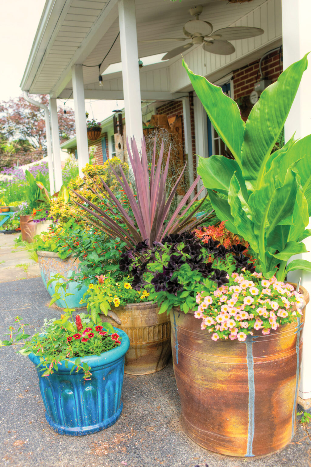 Living in a Natural World - Lancaster County Magazine