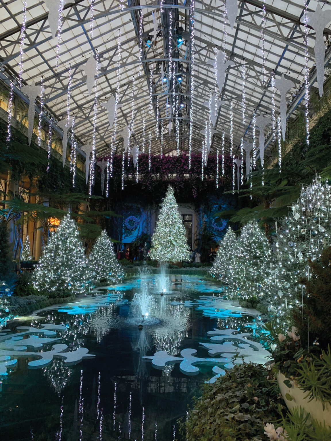 The Terrace at Longwood Gardens: Dine Amidst Garden and Holiday ...