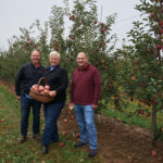 How Do You Like Them Apples?