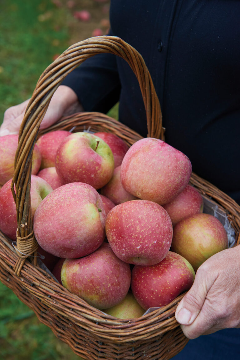 How Do You Like Them Apples? - Lancaster County Magazine