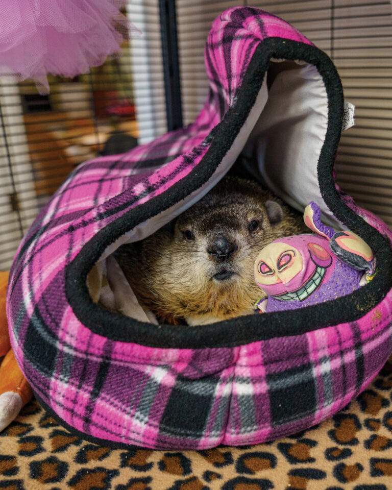 Acorn Acres Wildlife Rehabilitation: Nature Calls! - Lancaster County ...
