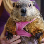 Acorn Acres Wildlife Rehabilitation: Nature Calls!