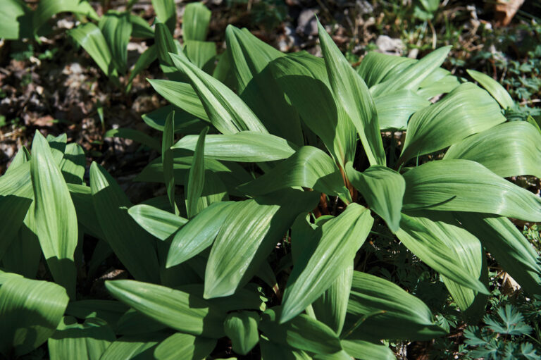 Ramping Up for Spring