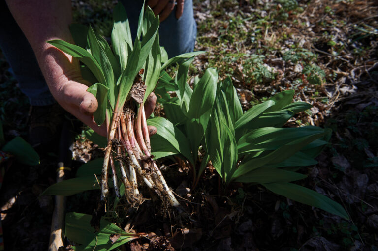 Ramping Up for Spring