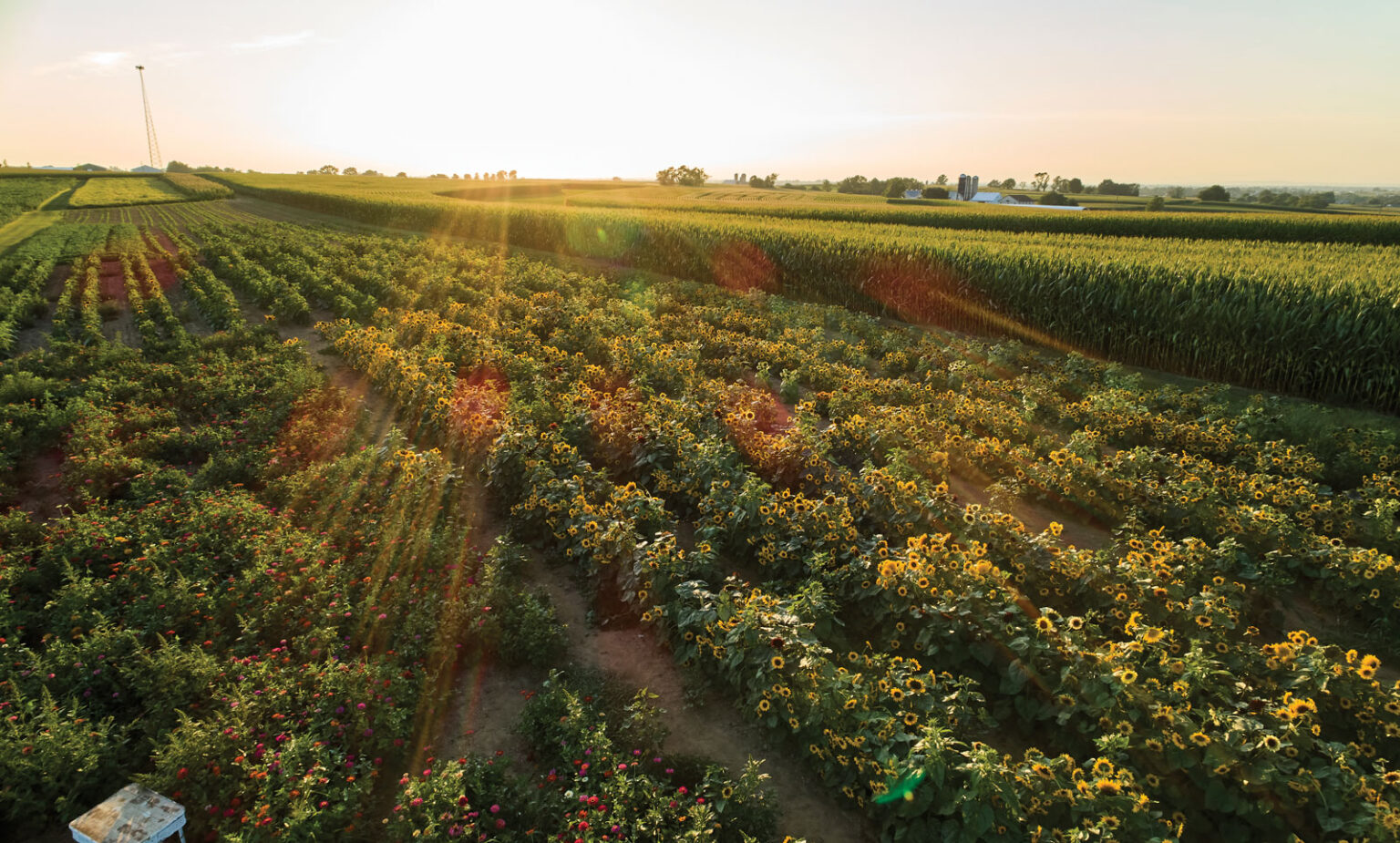 Lancaster From Above: Green in So Many Ways - Lancaster County Magazine