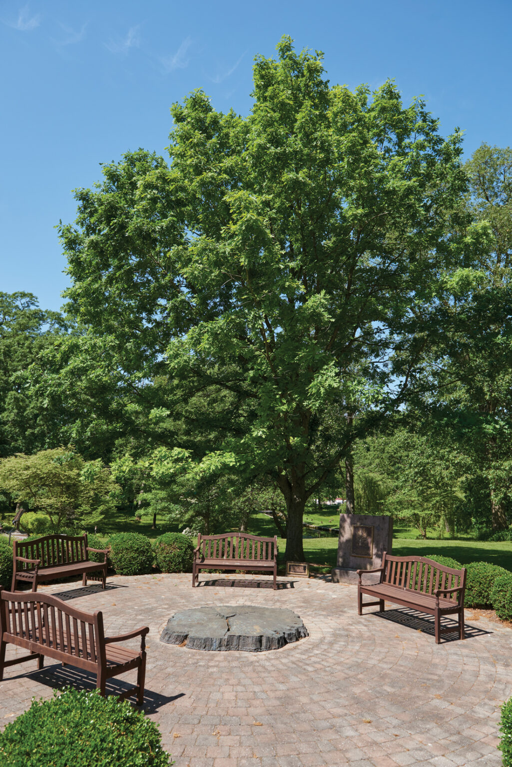 Mount Joy: History - Lancaster County Magazine