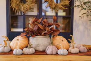 Erin Gerlach: Fearless DIYer - Lancaster County Magazine