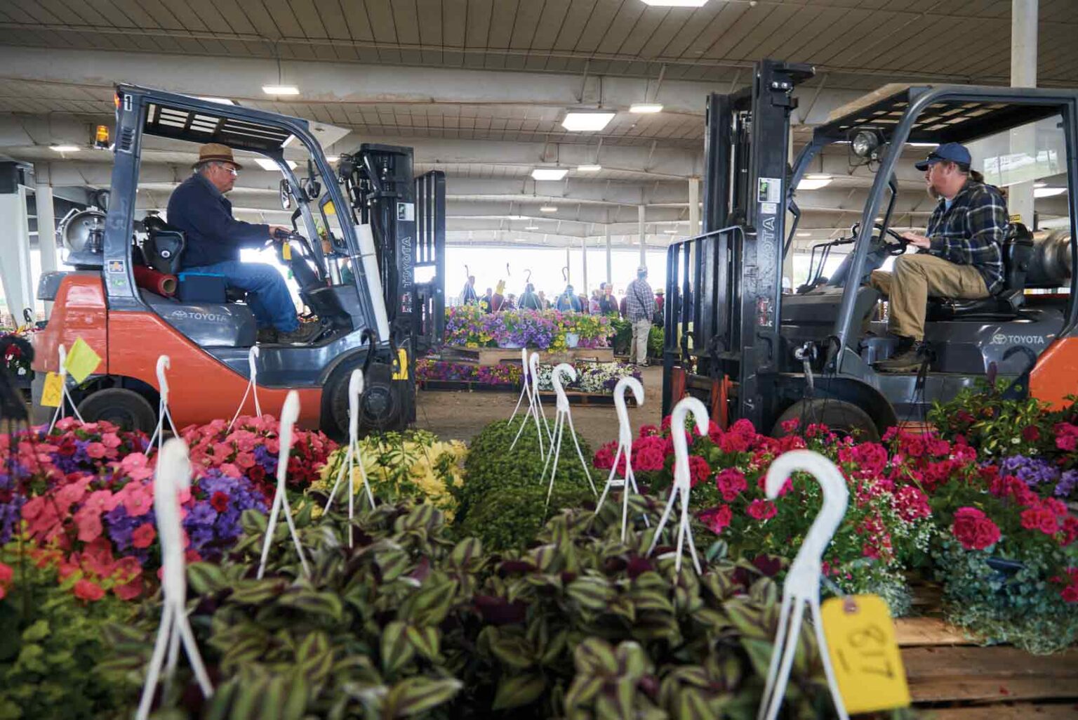 Leola Produce Auction - Lancaster County Magazine