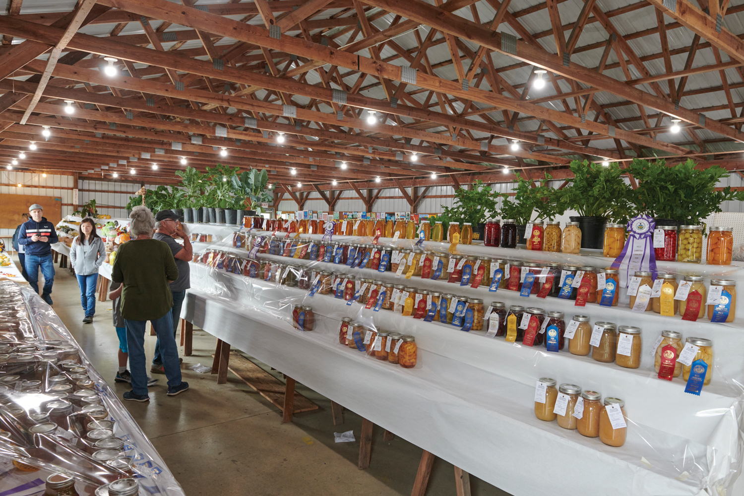 A Century of Agriculture & Community