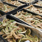 The Heirloom Seed Project at Landis Valley Village & Farm Museum ...