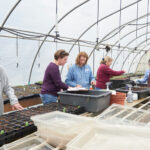 The Heirloom Seed Project at Landis Valley Village & Farm Museum ...