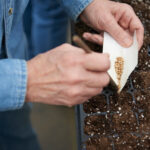 The Heirloom Seed Project at Landis Valley Village & Farm Museum ...