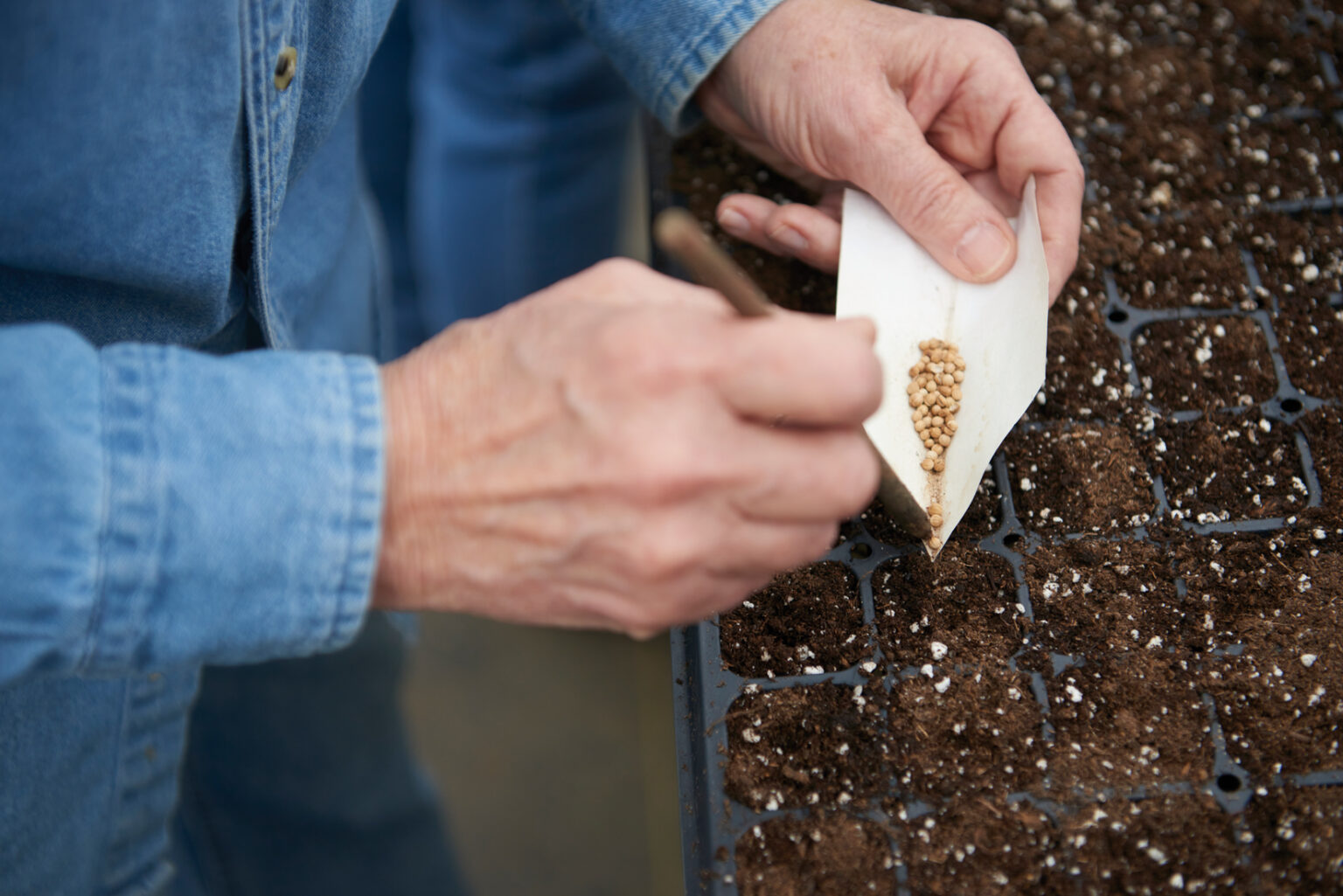 The Heirloom Seed Project at Landis Valley Village & Farm Museum ...
