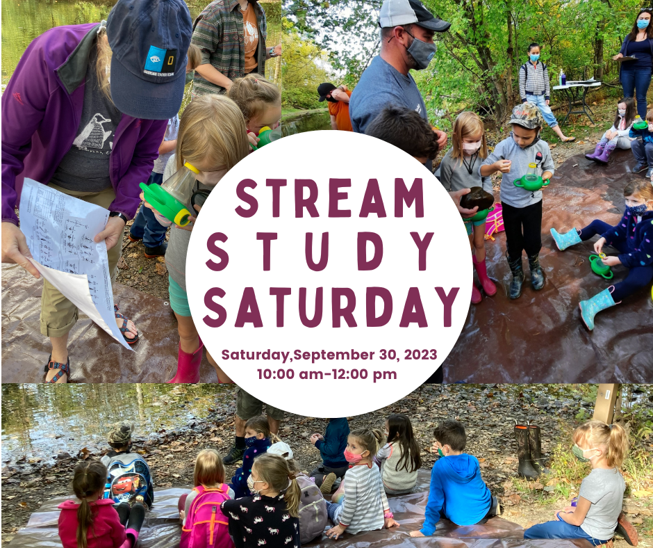 Stream Study Saturday